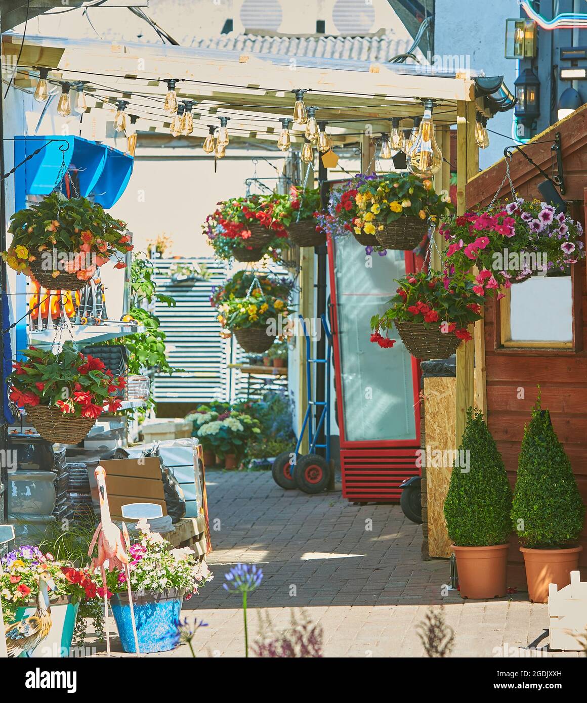 An outdoor display of flowers in front of the flower shop Stock Photo ...