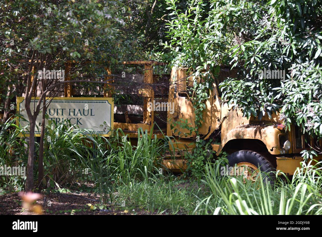 Oahu HI U.S.A. 6/3&6/2021. Dole Plantation. Gardens. Pineapple Express ...