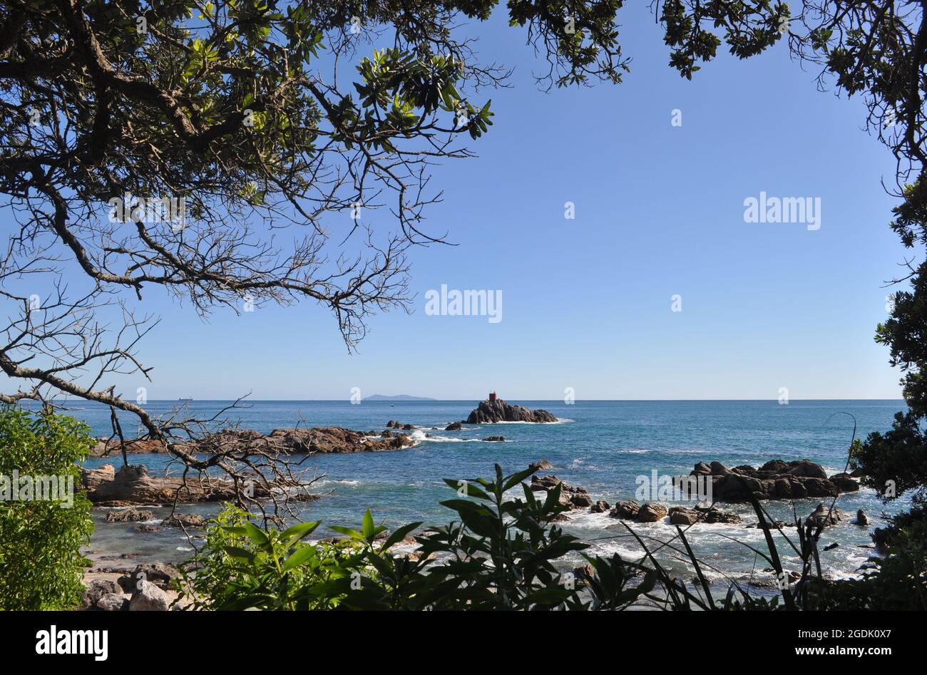 Typical new zealand beach scene hi-res stock photography and images - Alamy