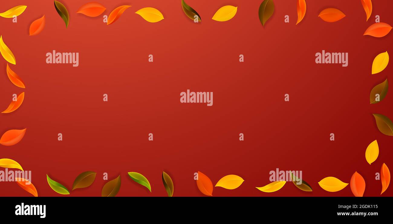 Falling autumn leaves. Red, yellow, green, brown neat leaves flying ...