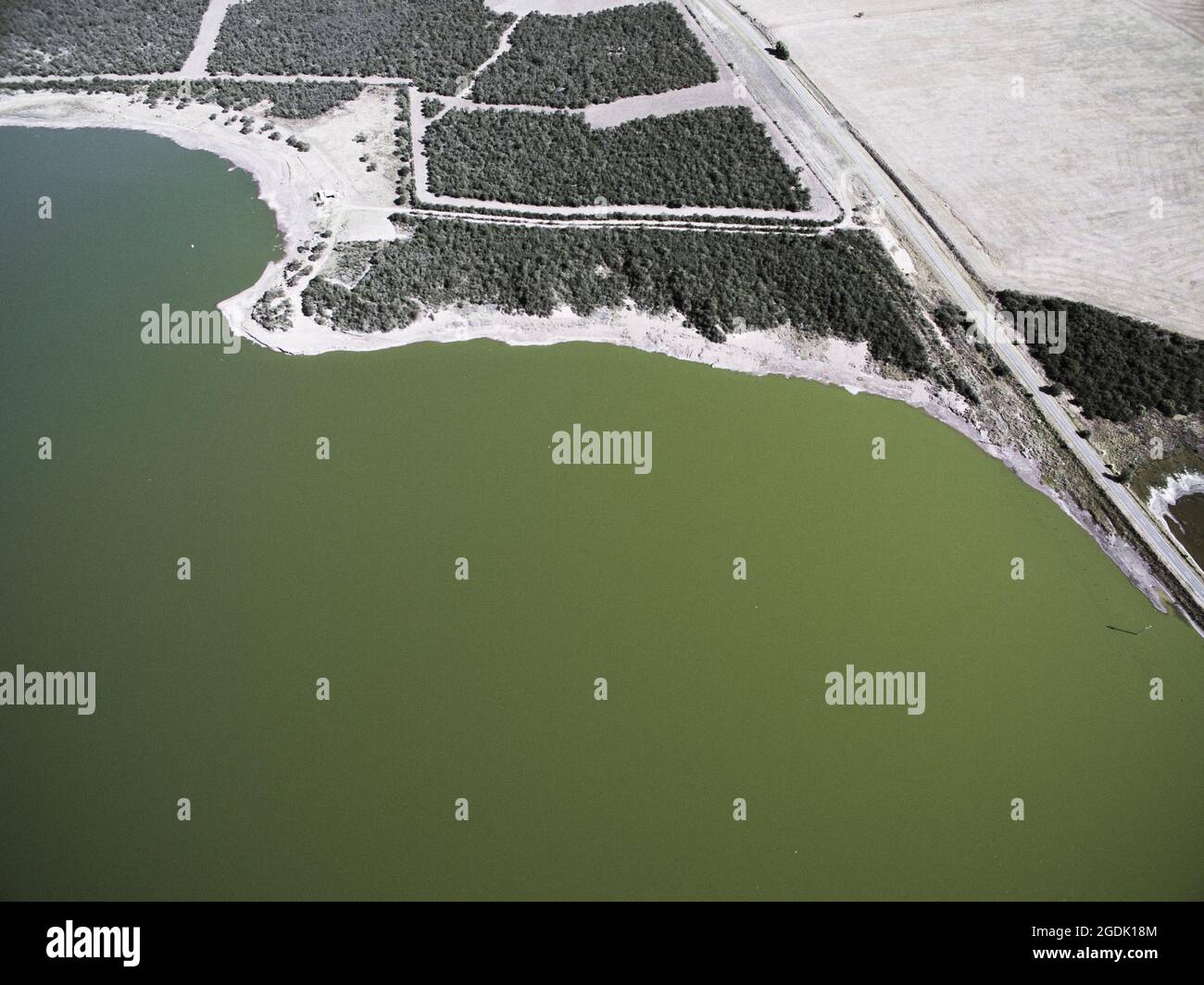 Salt Lagoon in Pampas landscape, La Pampa Province, Patagonia ...