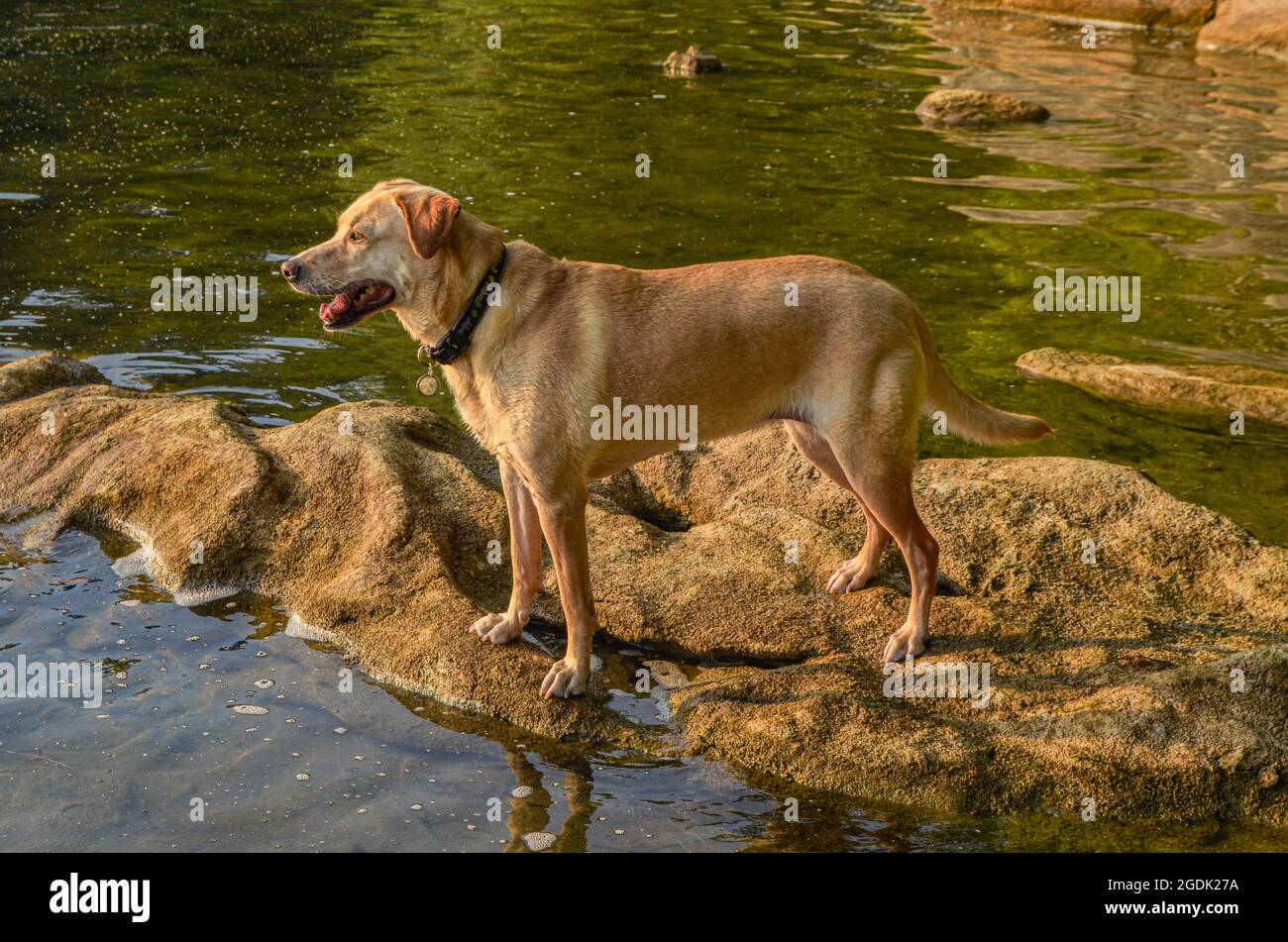 Sideview hi-res stock photography and images - Alamy