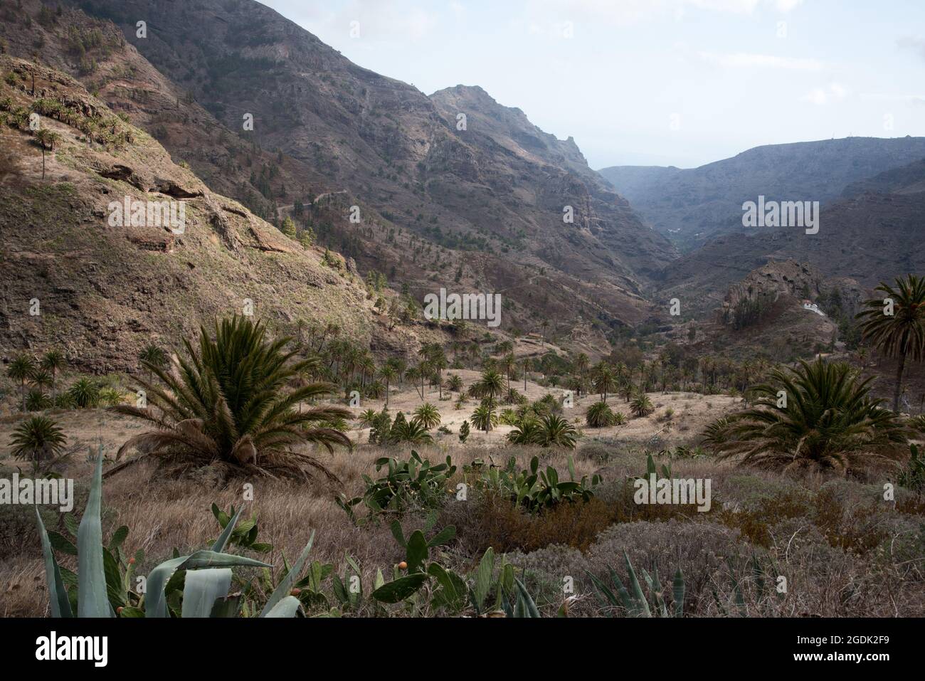 Benchijigua is a small village and the oldest settlements on the island ...