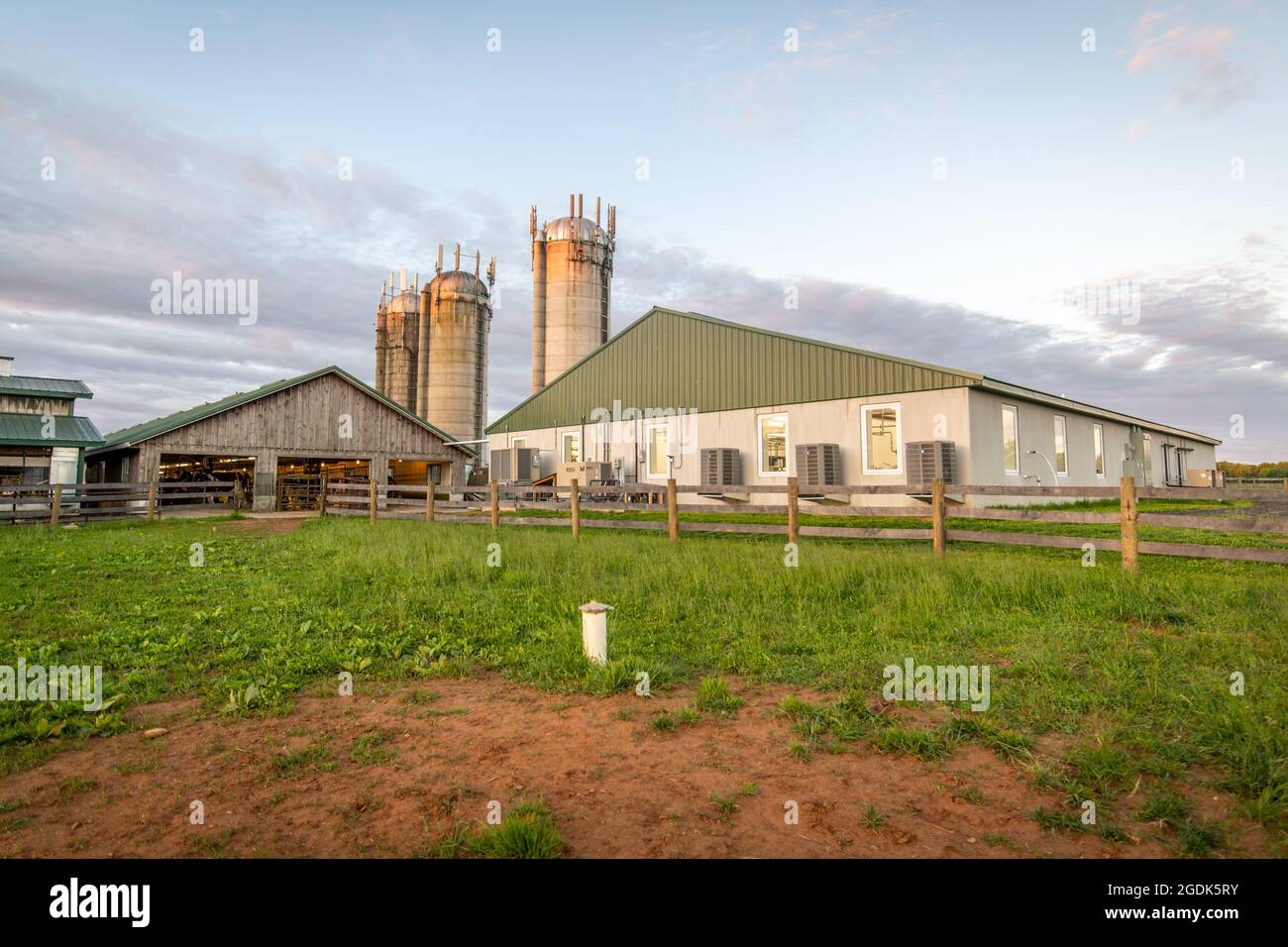 Cattle Barn and Milk Bottling buildings Stock Photo - Alamy