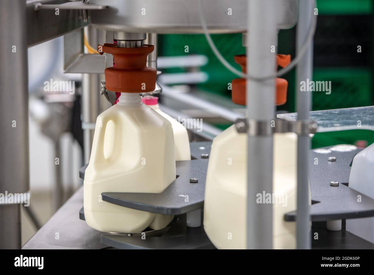 Bottling machine puts caps on milk jugs Stock Photo - Alamy