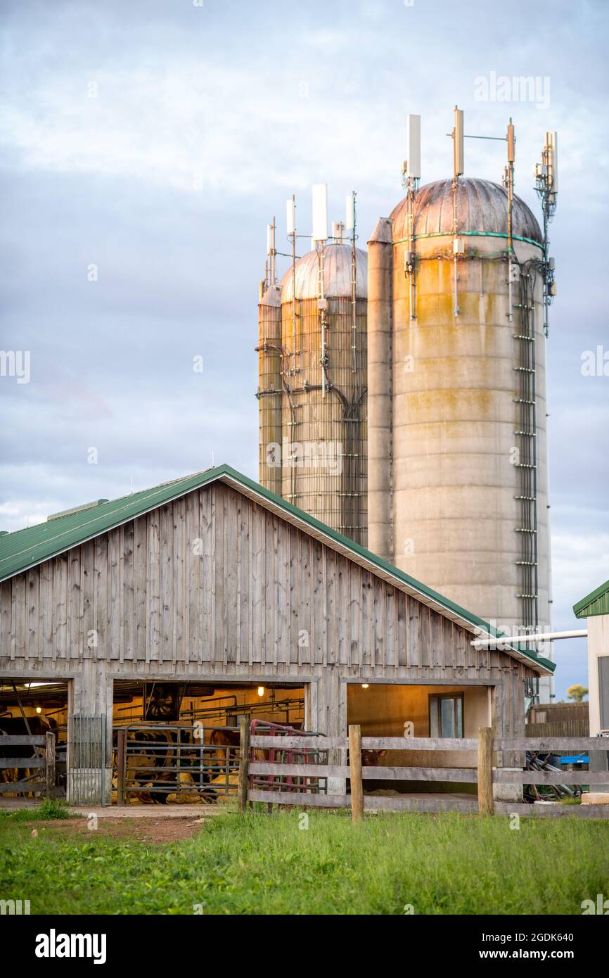 Dairy Processing at Broom Bloom Stock Photo - Alamy