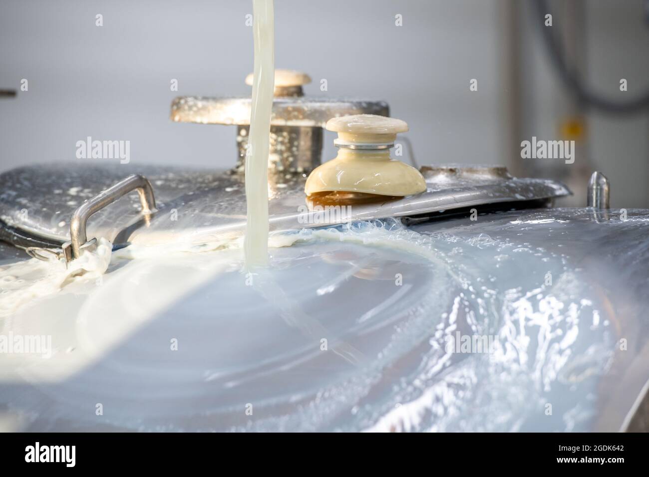 Raw milk running during Dairy Processing at Broom Bloom Stock Photo - Alamy