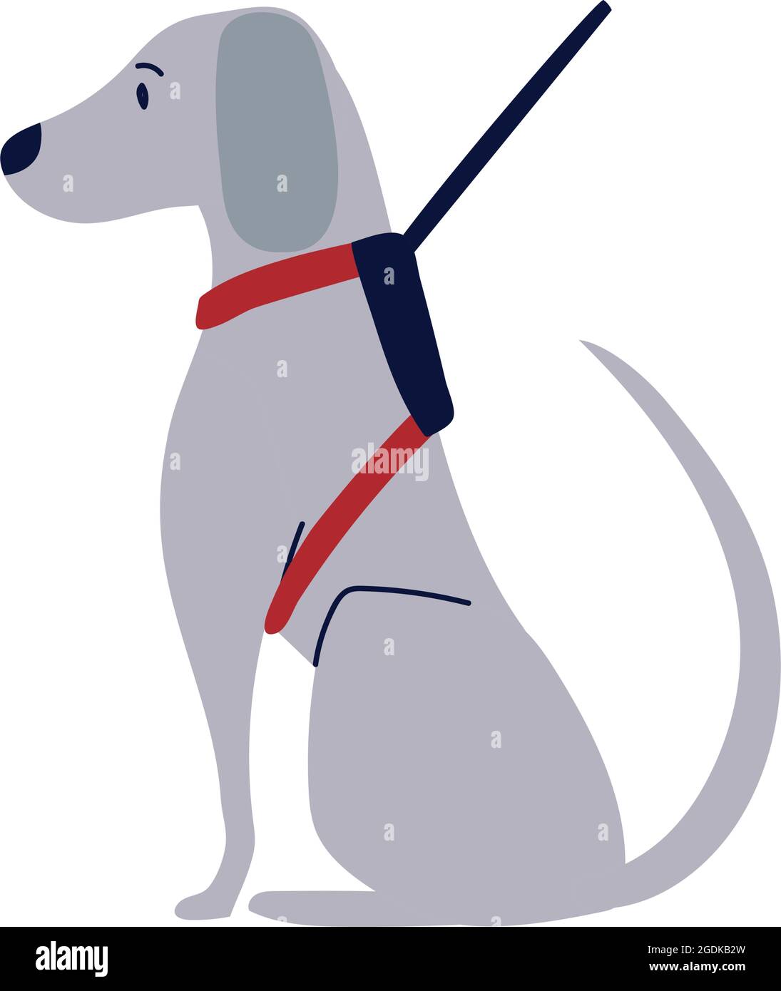 Lab guide dog puppy hi-res stock photography and images - Alamy