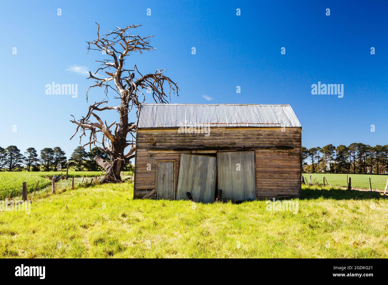 Rural Landscape in Victoria Australia Stock Photo - Alamy