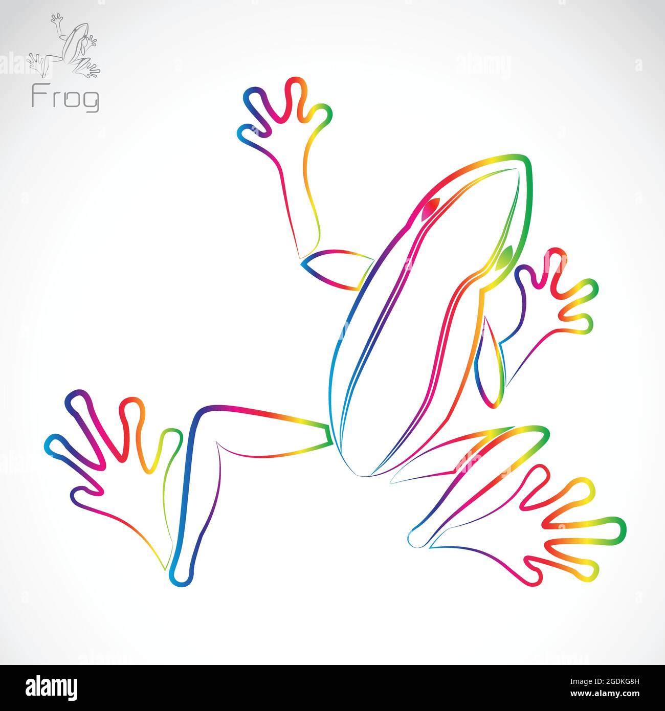 Vector image of a frog on white background. Easy editable layered ...