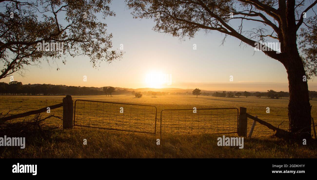 Australian country road hi-res stock photography and images - Alamy