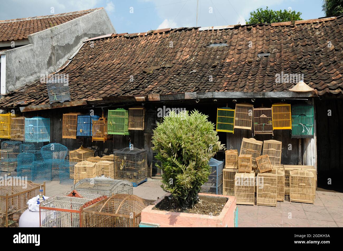 Yogyakarta, Street Scenes from central Java, Indonesia Stock Photo - Alamy