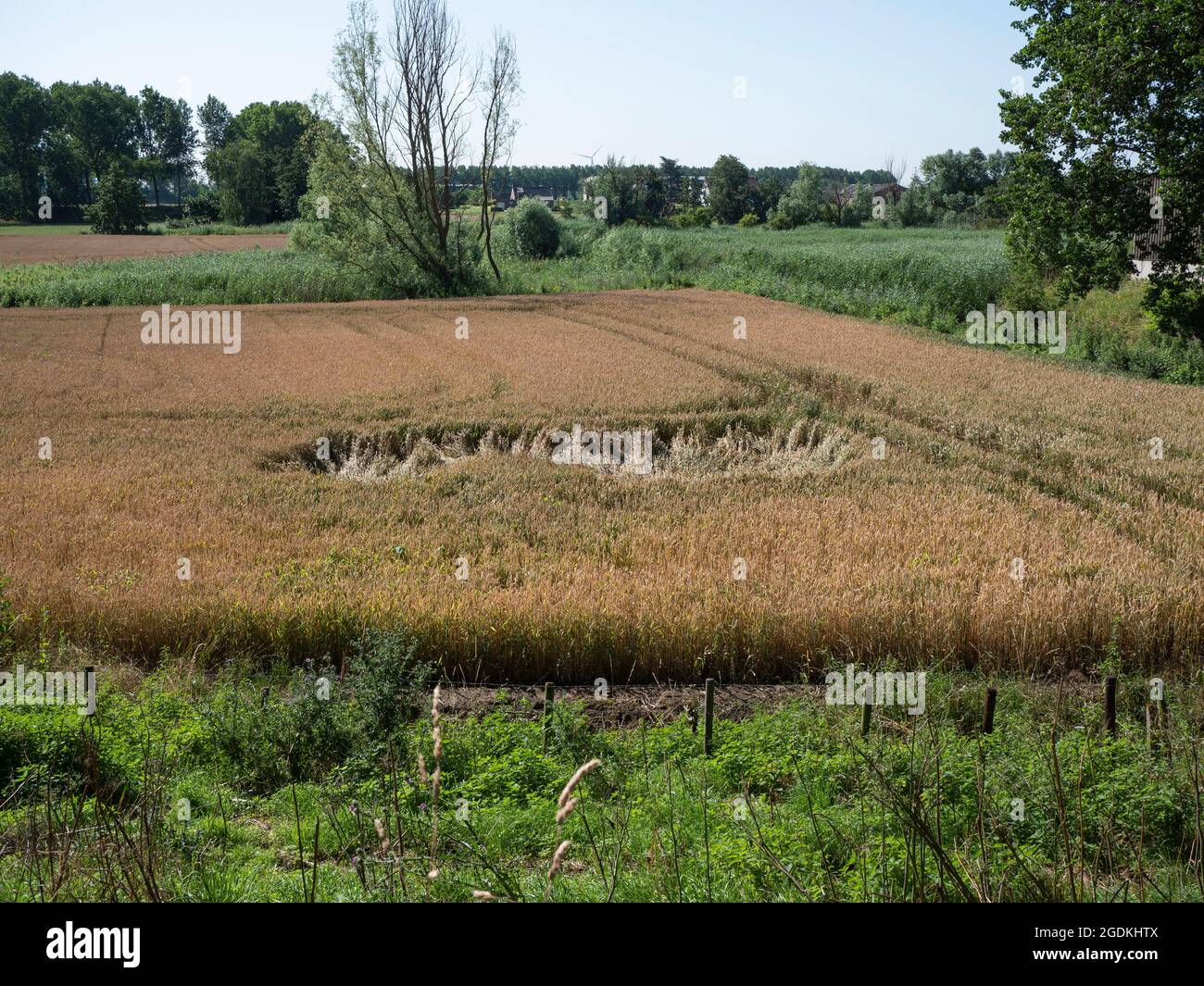 Agriculture land destroyed hi-res stock photography and images - Alamy