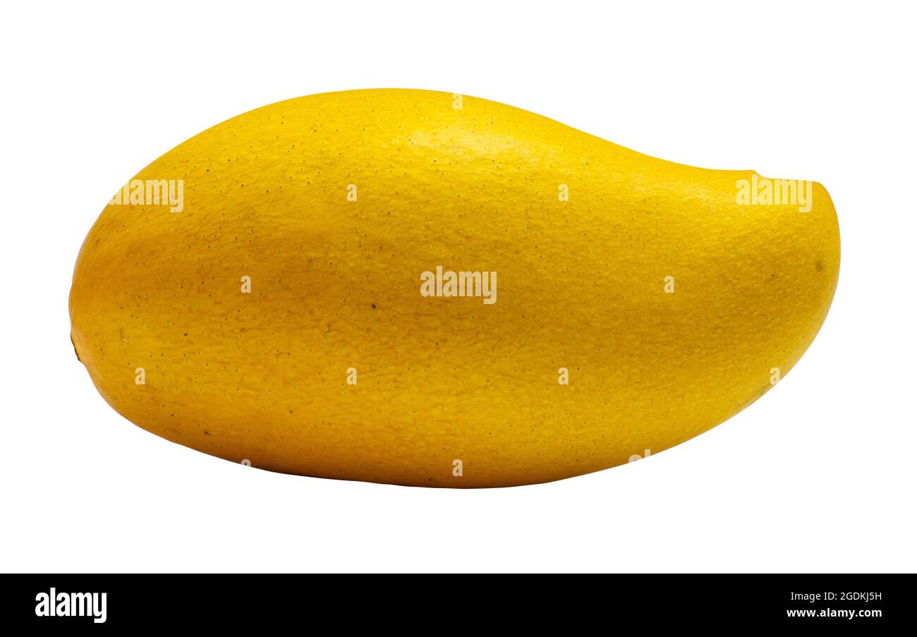 Yellow ripe mango is sweet and delicious. Another famous fruit in ...