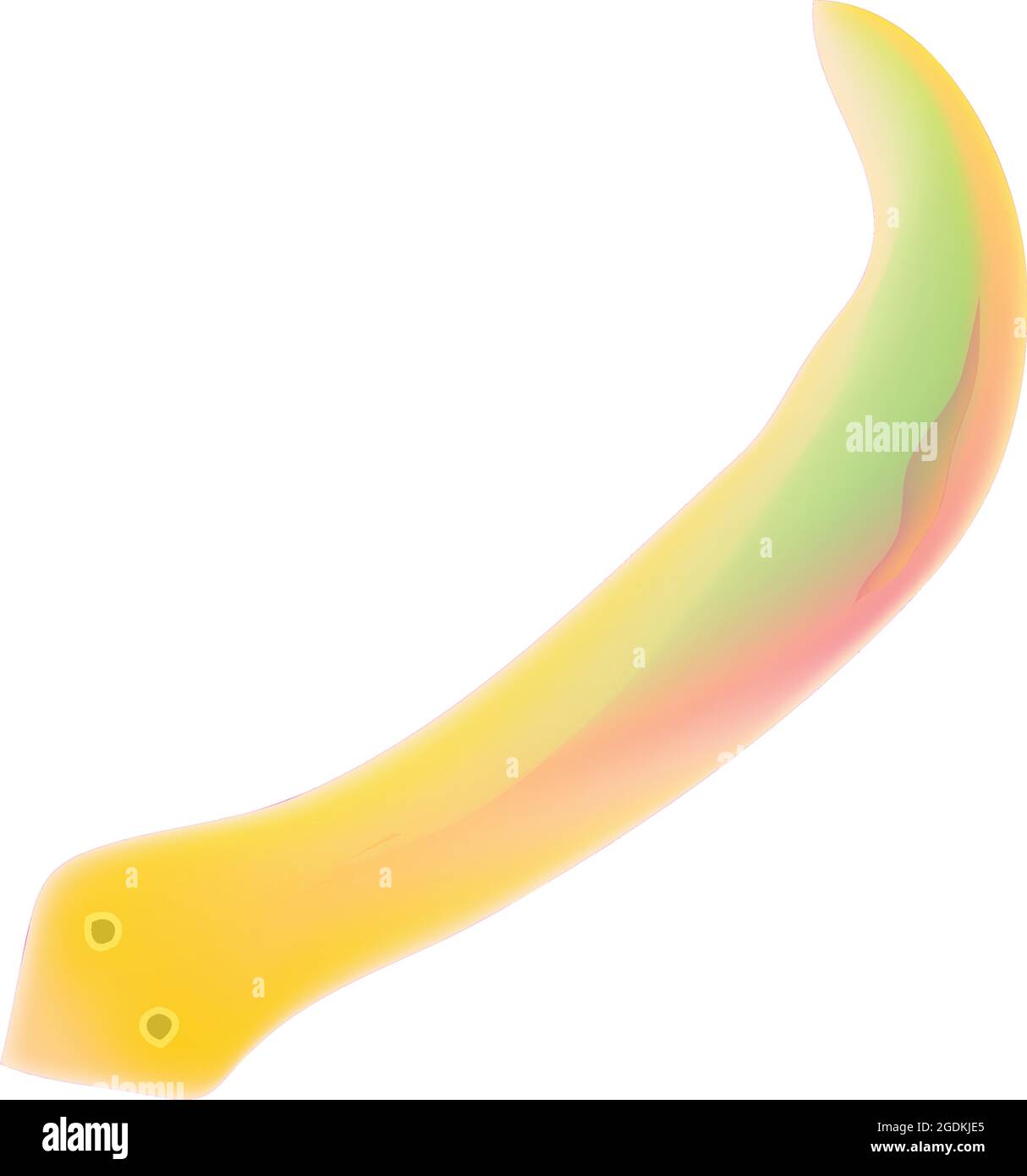 Tricladida planaria Stock Vector Images - Alamy