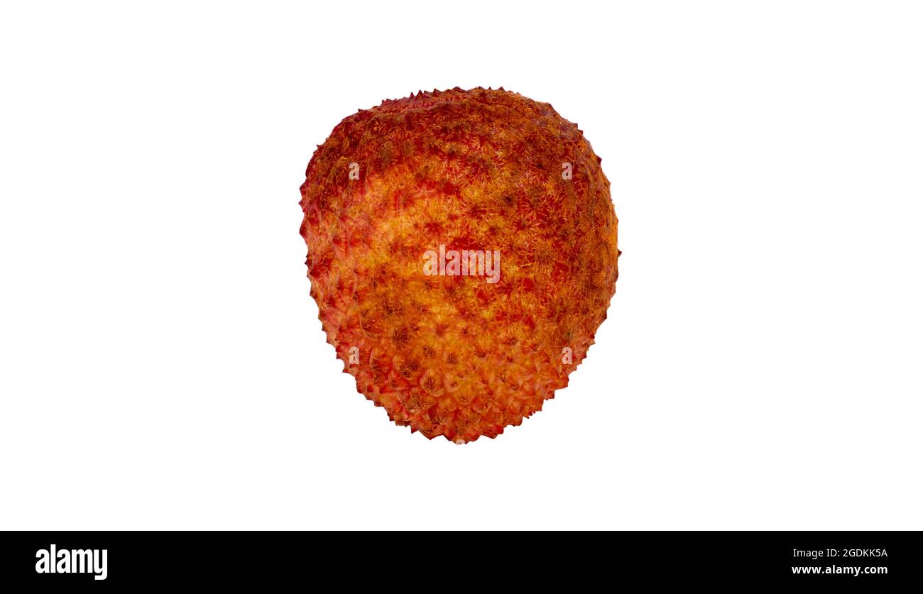 One lychee is placed on a white background. Clipping path Stock Photo ...