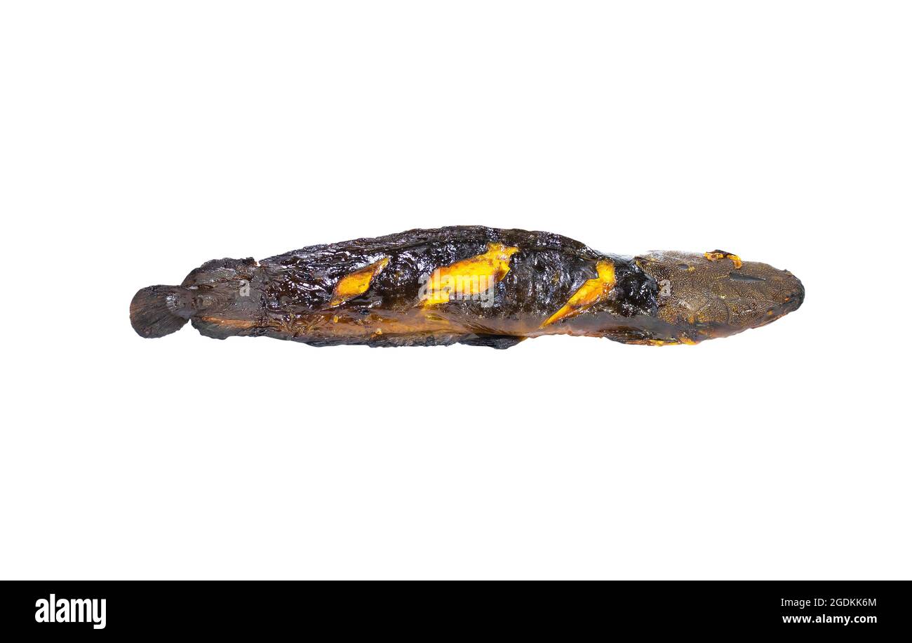 Cooked grilled catfish. On a white background. Clipping path Stock ...