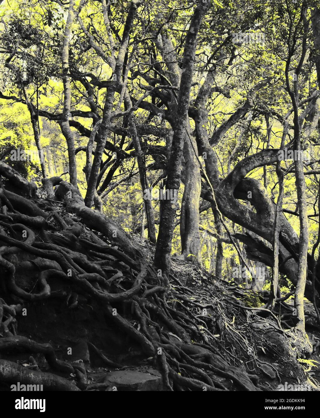 Guna cave view point kodaikanal hi-res stock photography and images - Alamy