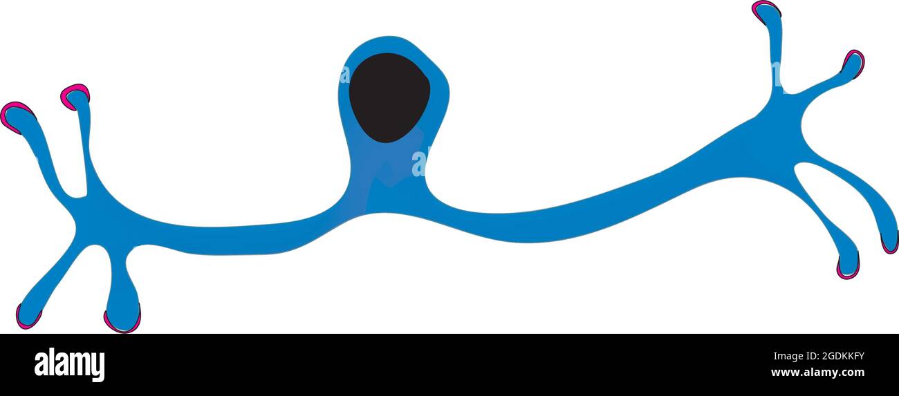 Sensory neuron, icon, the nerve cells that are activated by sensory ...