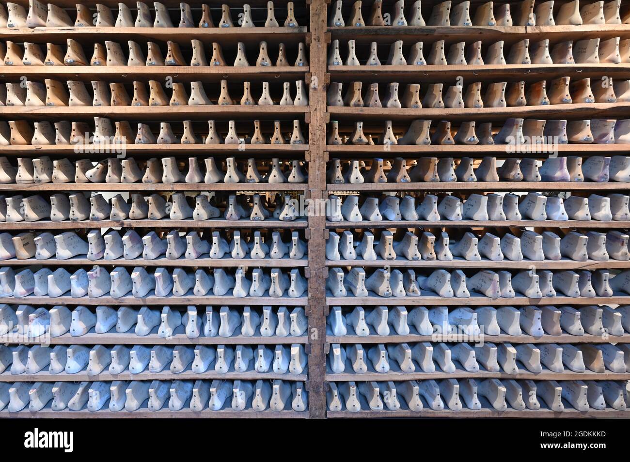 Shelf with shoe lasts in the Fagus factory in Alfeld Stock Photo - Alamy