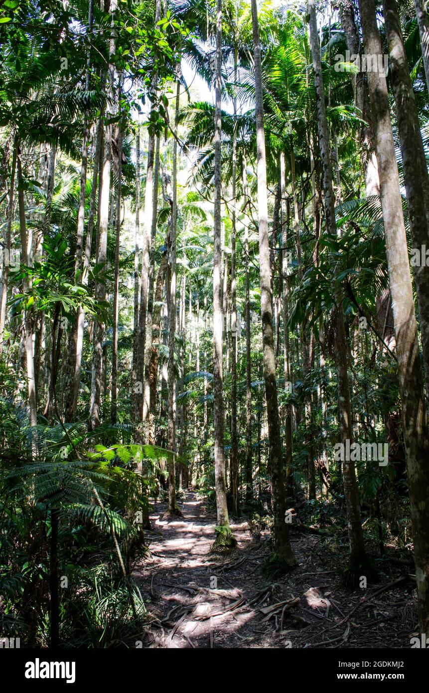 Bush walking hi-res stock photography and images - Alamy