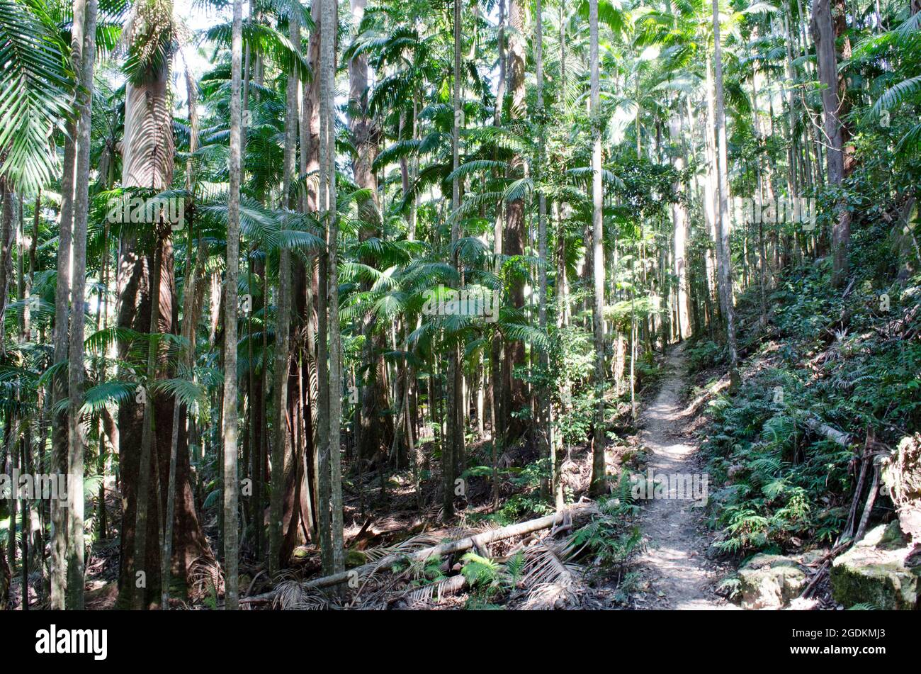 Explore bush hi-res stock photography and images - Alamy