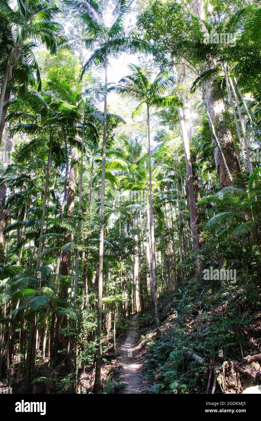 Explore bush hi-res stock photography and images - Alamy