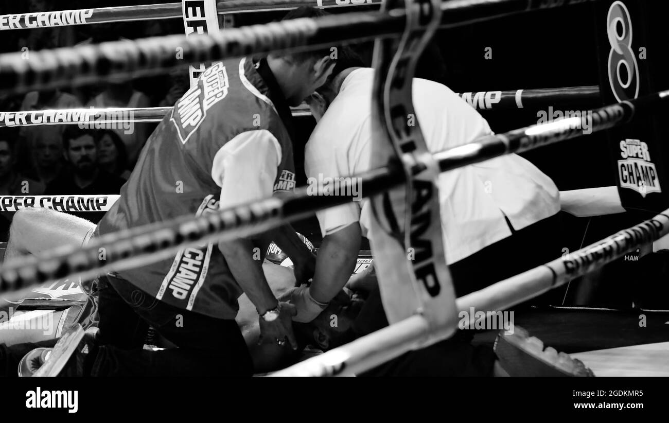Bangkok Thailand November 11 2018. Unidentified Thai and foreign boxing ...