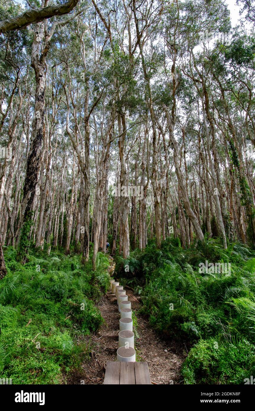 Salt path art hi-res stock photography and images - Alamy