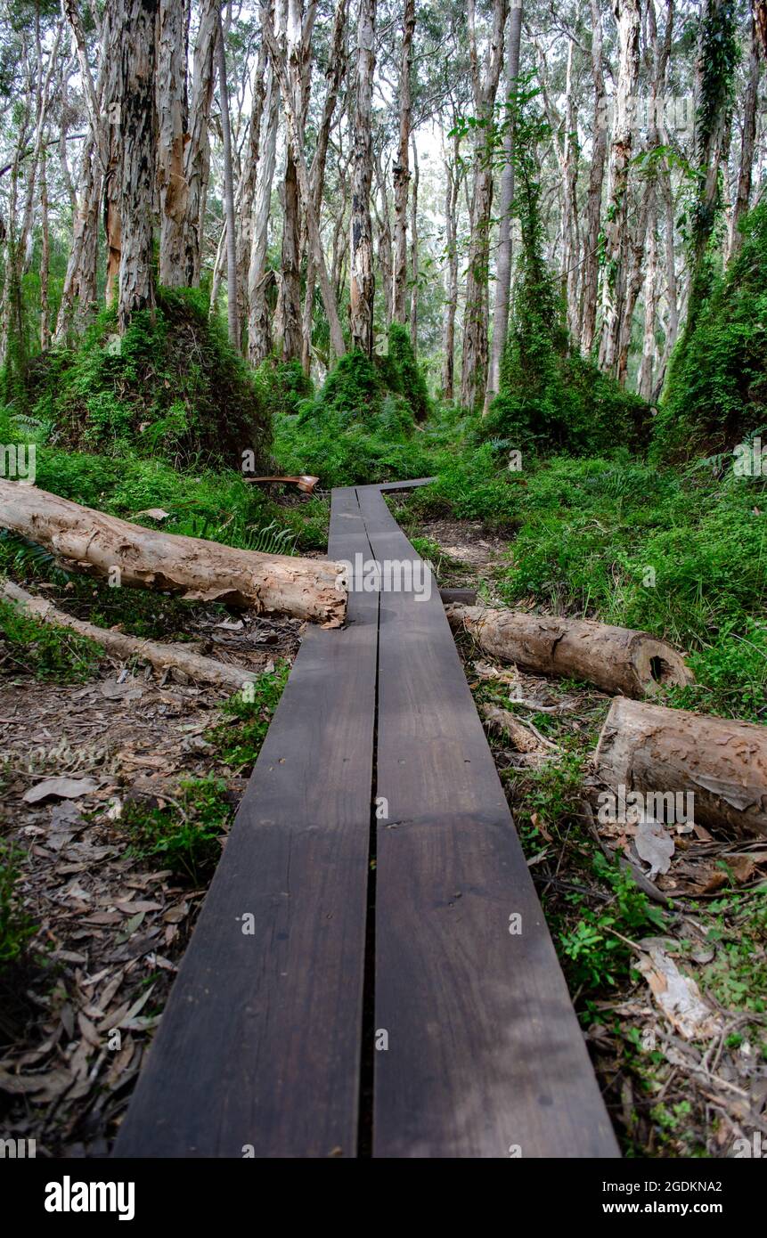 Salt path art hi-res stock photography and images - Alamy