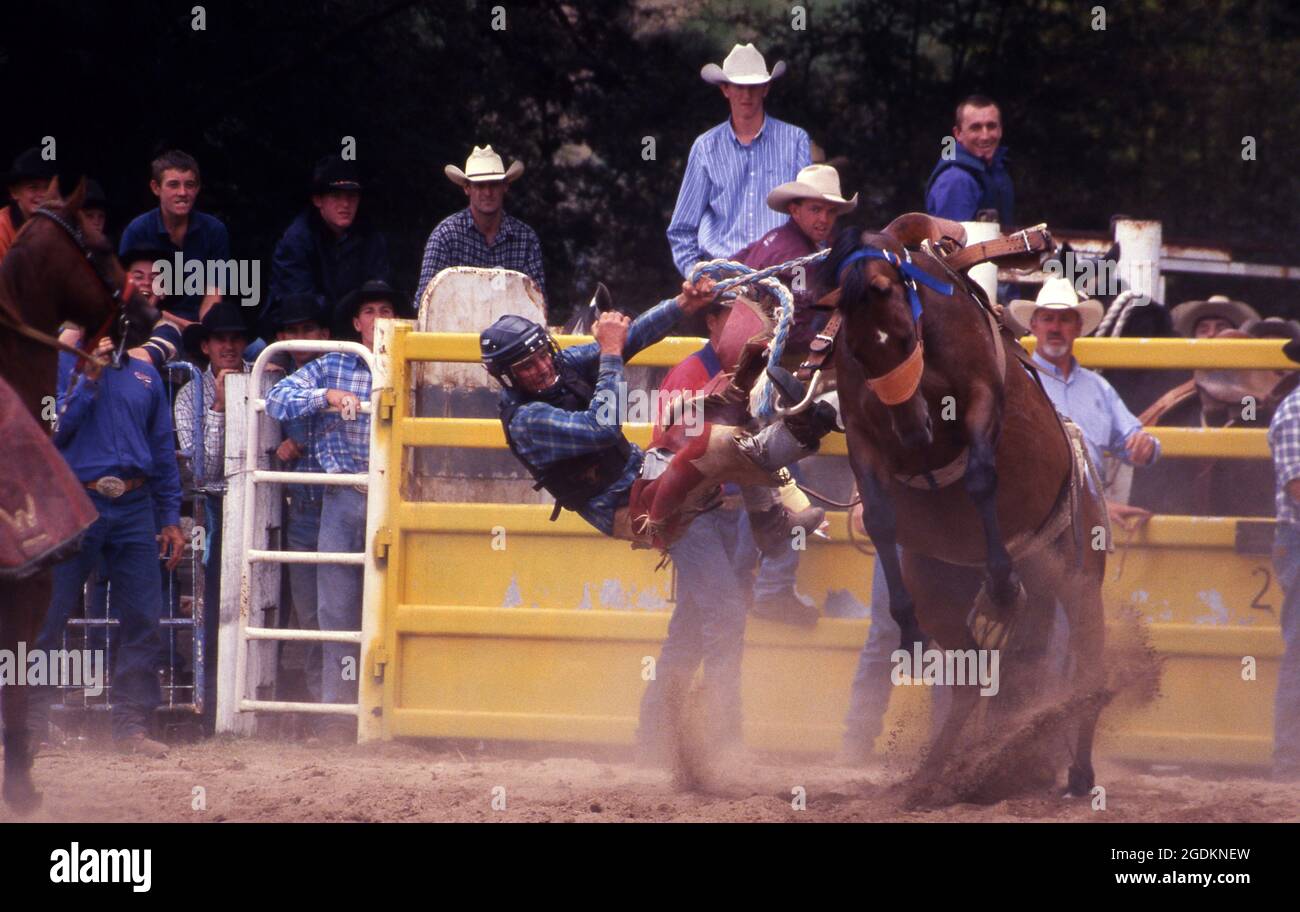 Australian rodeo hi-res stock photography and images - Alamy