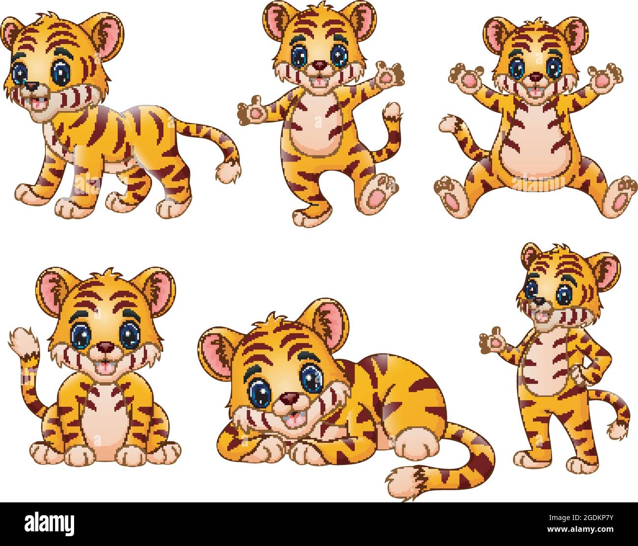 The little tiger feeling happy Stock Vector Image & Art - Alamy