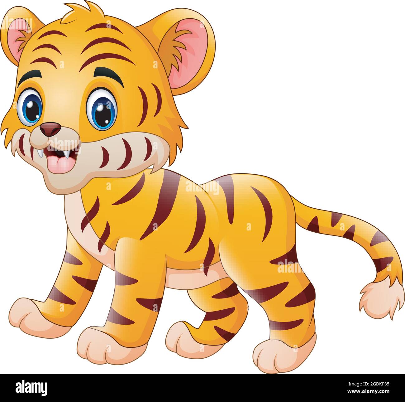 The little tiger feeling happy Stock Vector Image & Art - Alamy