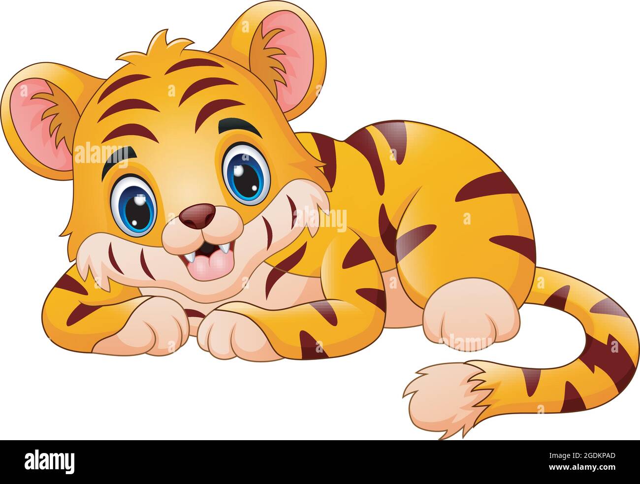The little tiger feeling happy Stock Vector Image & Art - Alamy