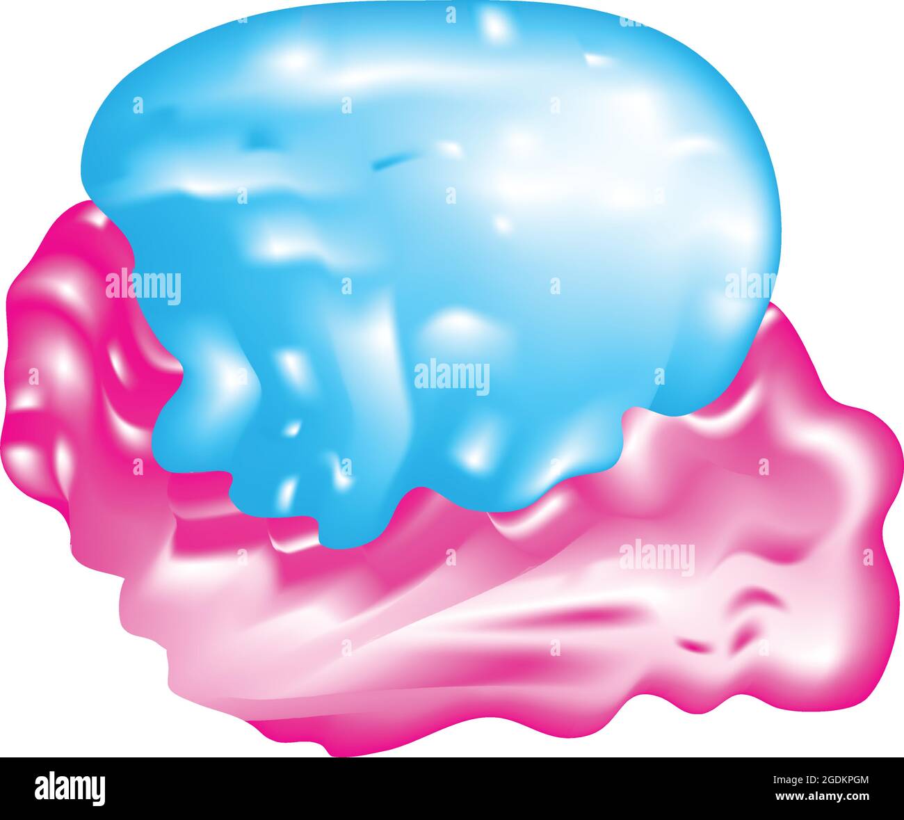 enzyme-substrate complex, anatomy of enzyme and substrate, enzyme Stock ...