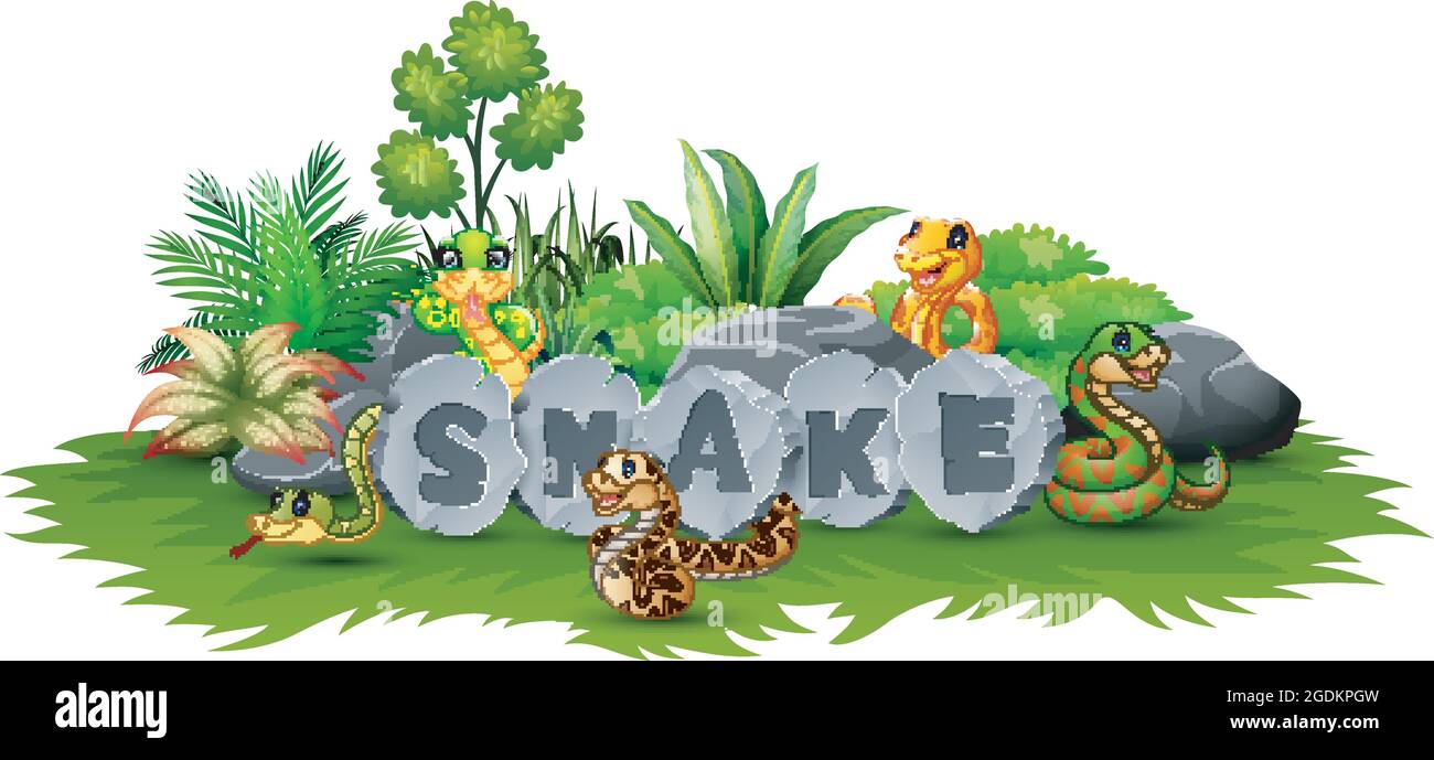 Snake playing Cut Out Stock Images & Pictures - Alamy