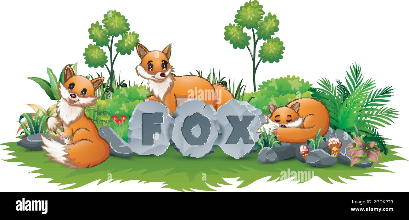 Fox are playing in the garden Stock Vector Image & Art - Alamy