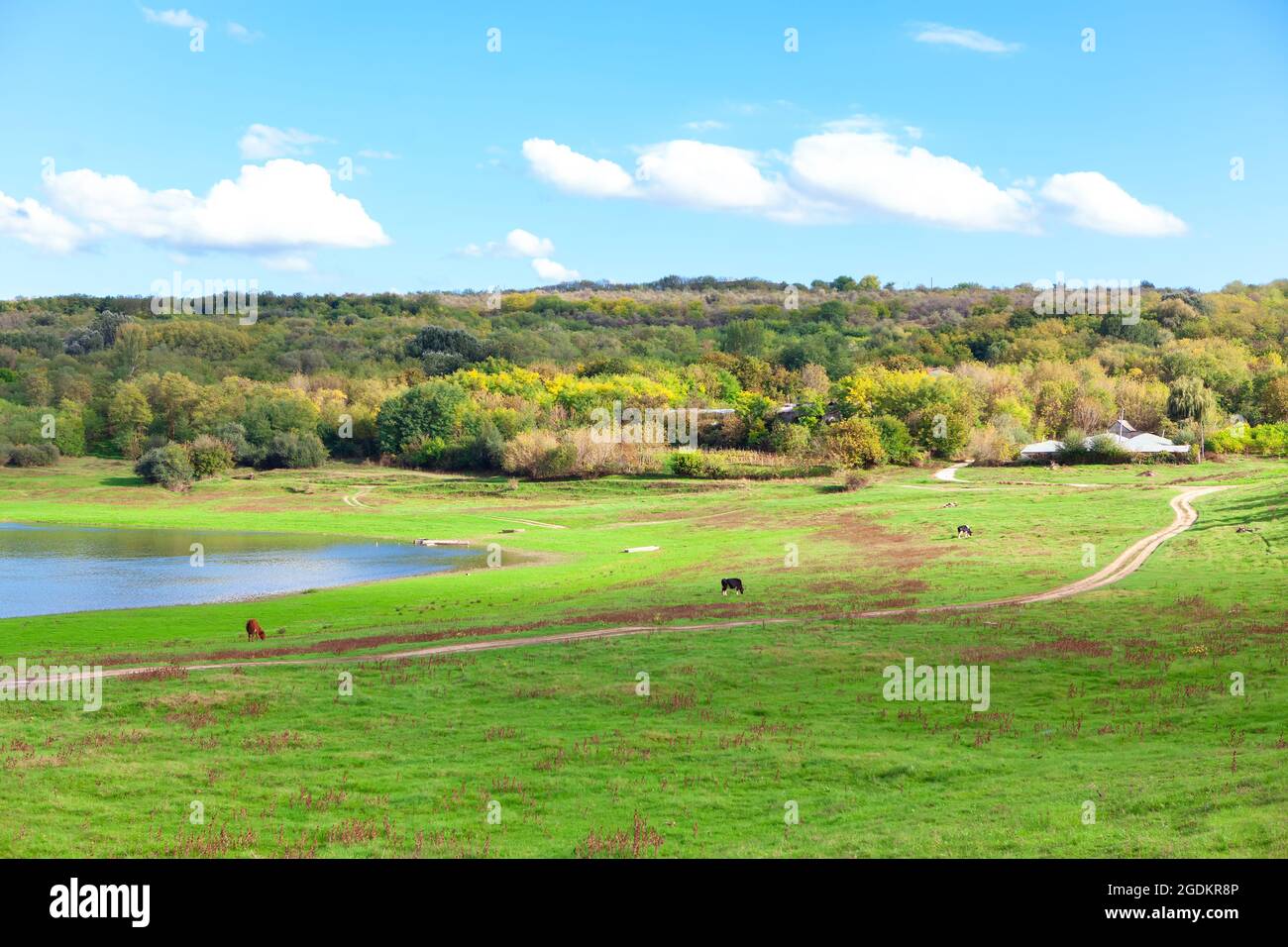 Rustic scenery with green meadow and river . Peaceful scenery , village ...