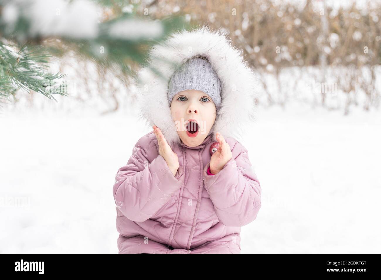 portrait of a surprised little girl with a Christmas ball in a fur hood ...