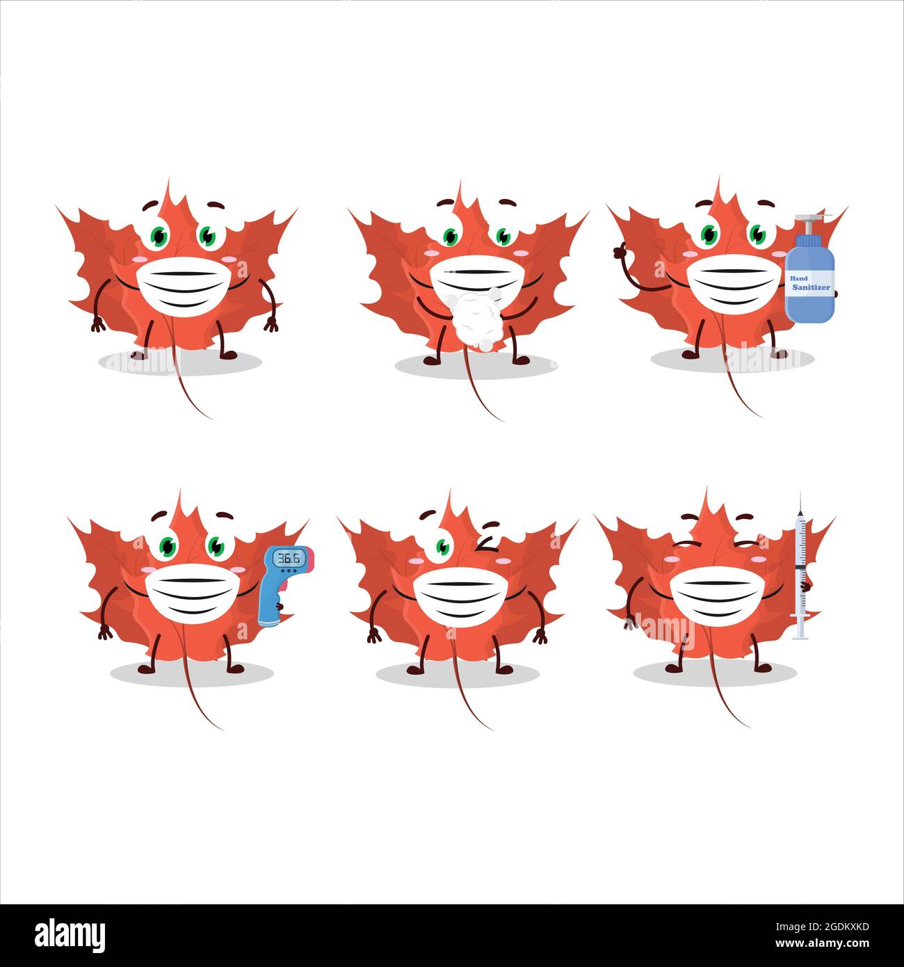 A picture of autumn blaze maple cartoon design style keep staying ...