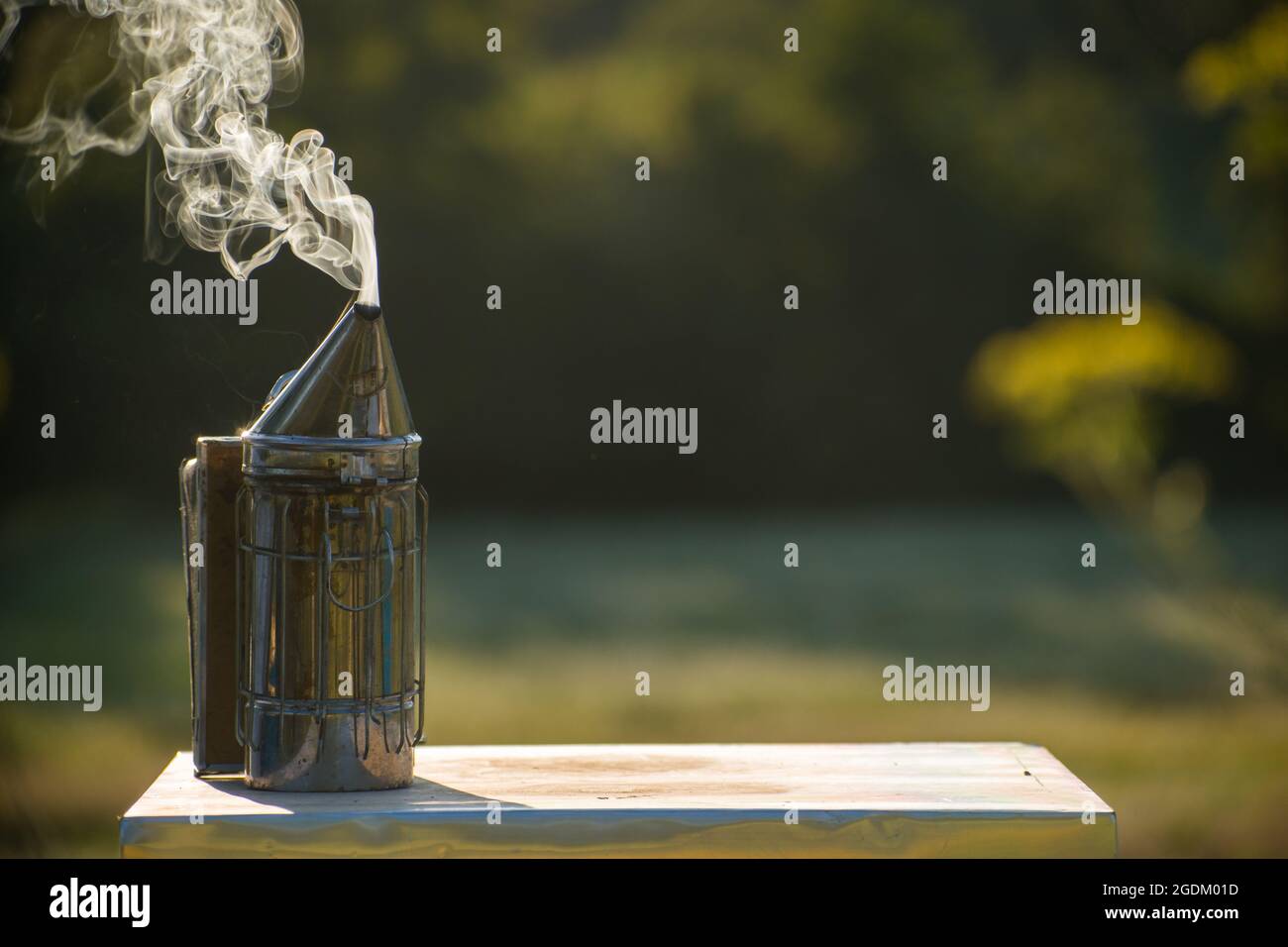 Bee smoker with smoke on the beehive in the nature with copy space ...