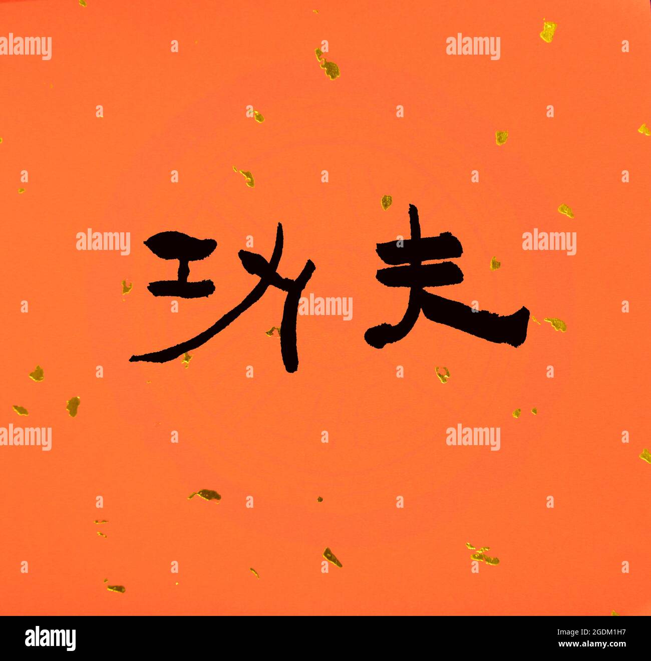 Kung Fu Logo Meaning