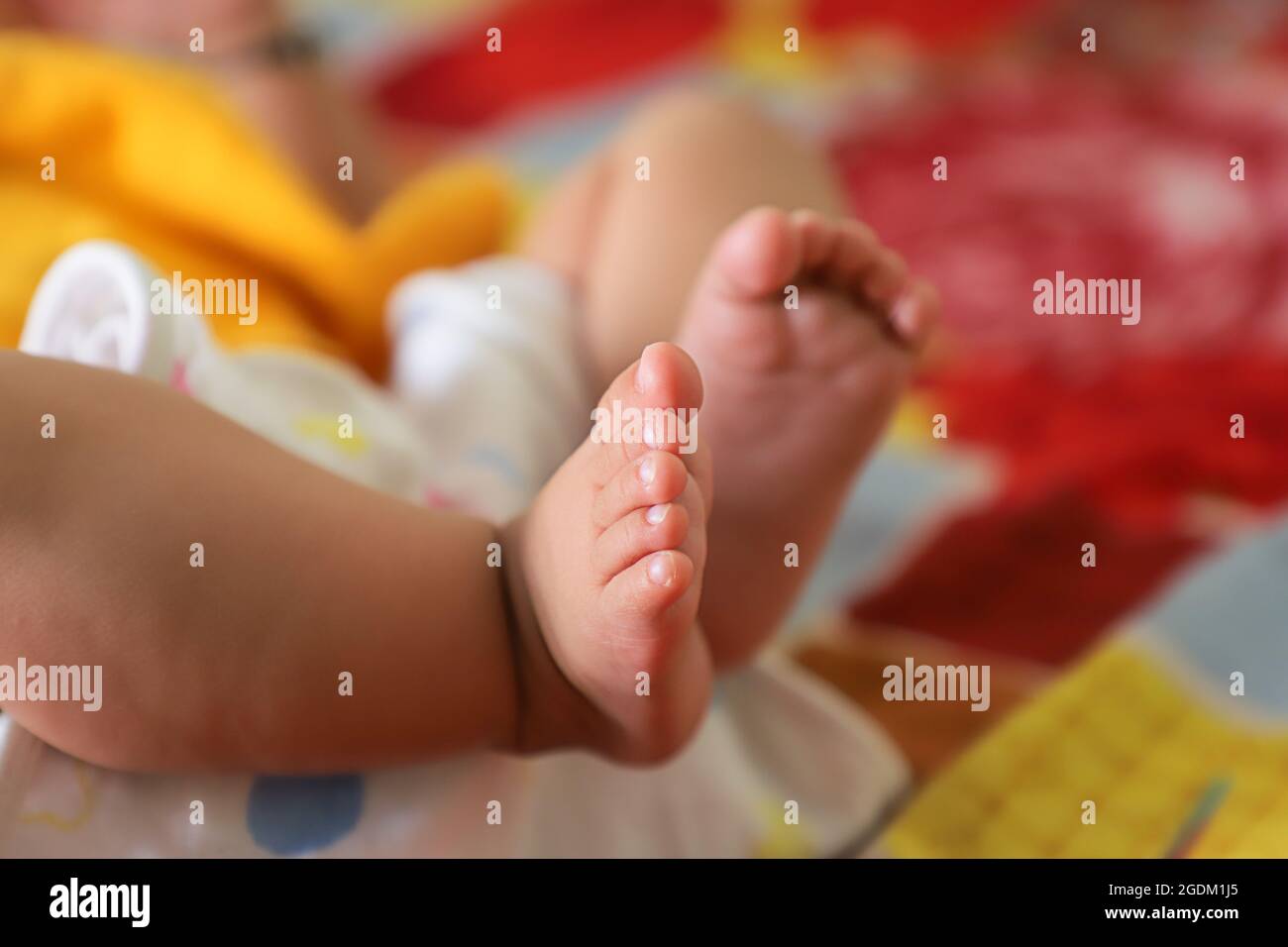 newborn baby's little feet.close up of legs Stock Photo - Alamy