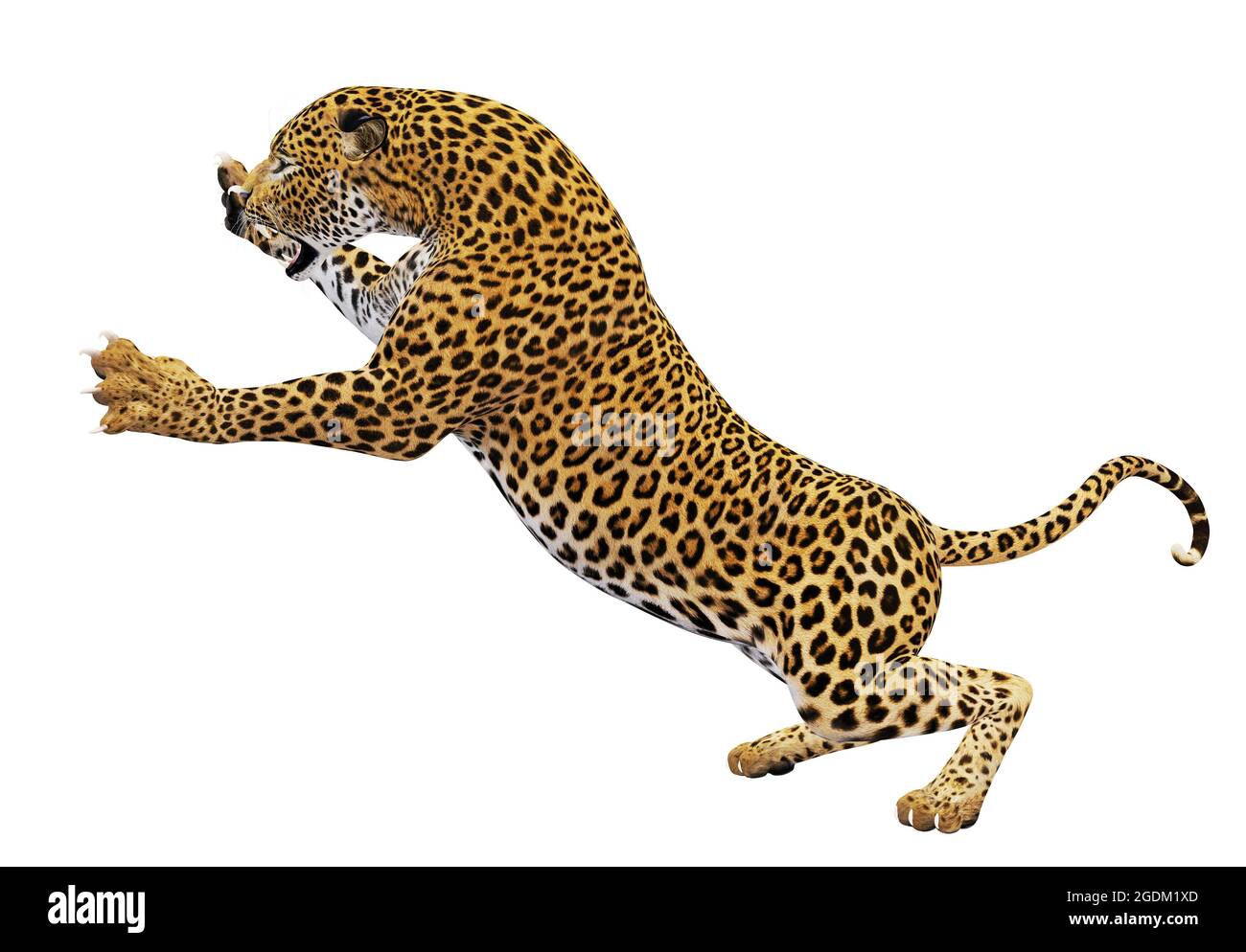 Digitally rendered leopard in attacking pose, 3d illustration Stock ...