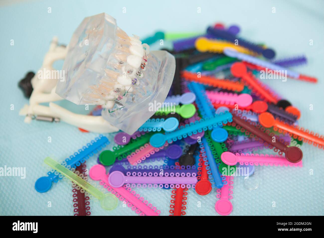 Jaw model with braces on pile of colorful elastics for braces Stock ...