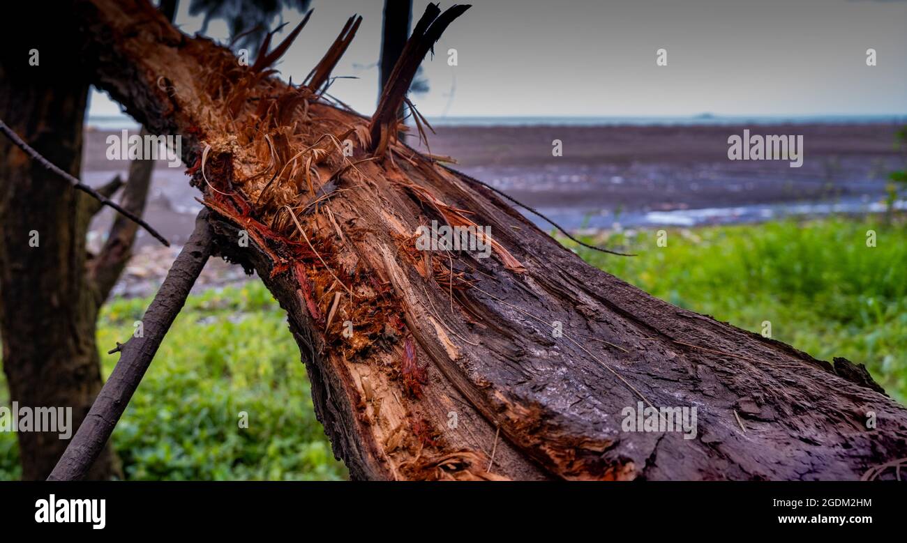 Suruchi beach hi-res stock photography and images - Alamy