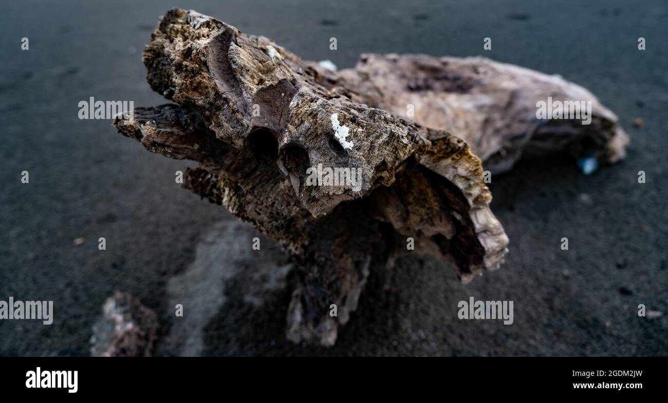 Suruchi beach hi-res stock photography and images - Alamy