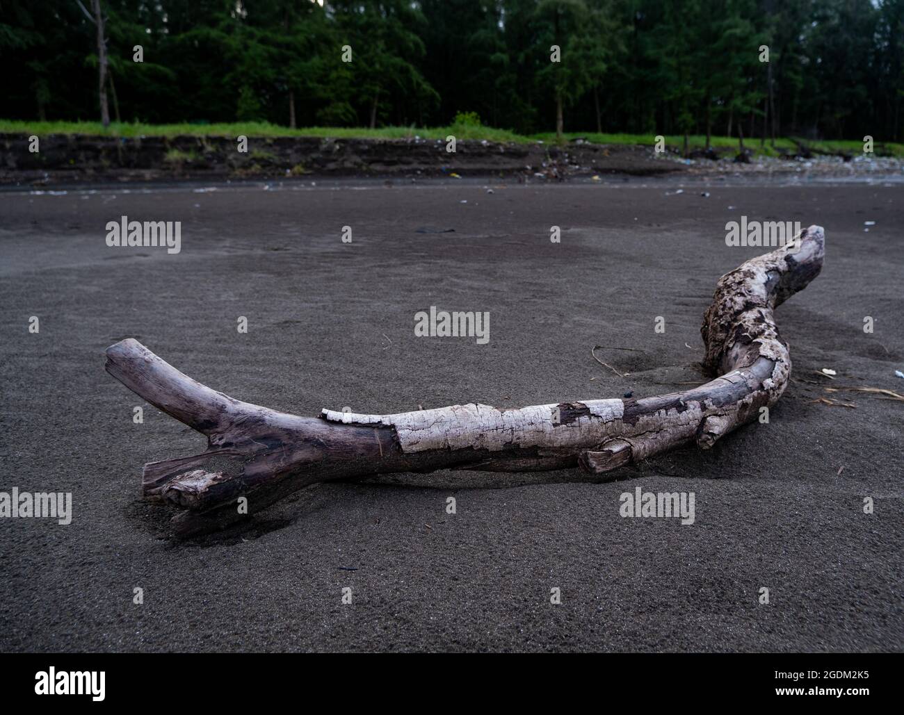 Suruchi beach hi-res stock photography and images - Alamy