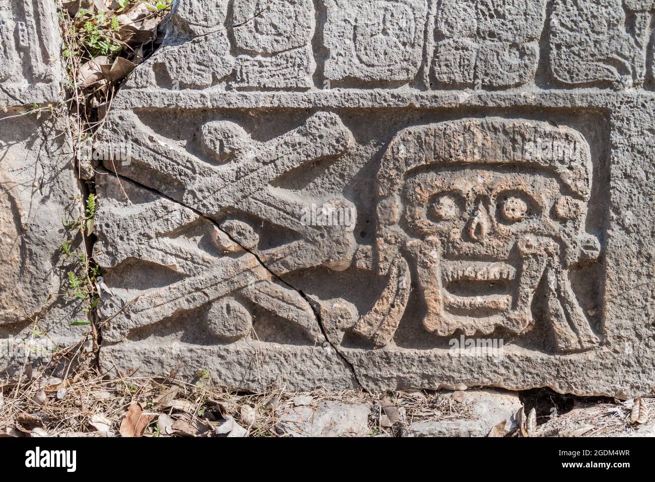 Skull and bones carving at the ruins of the ancient Mayan city Uxmal ...