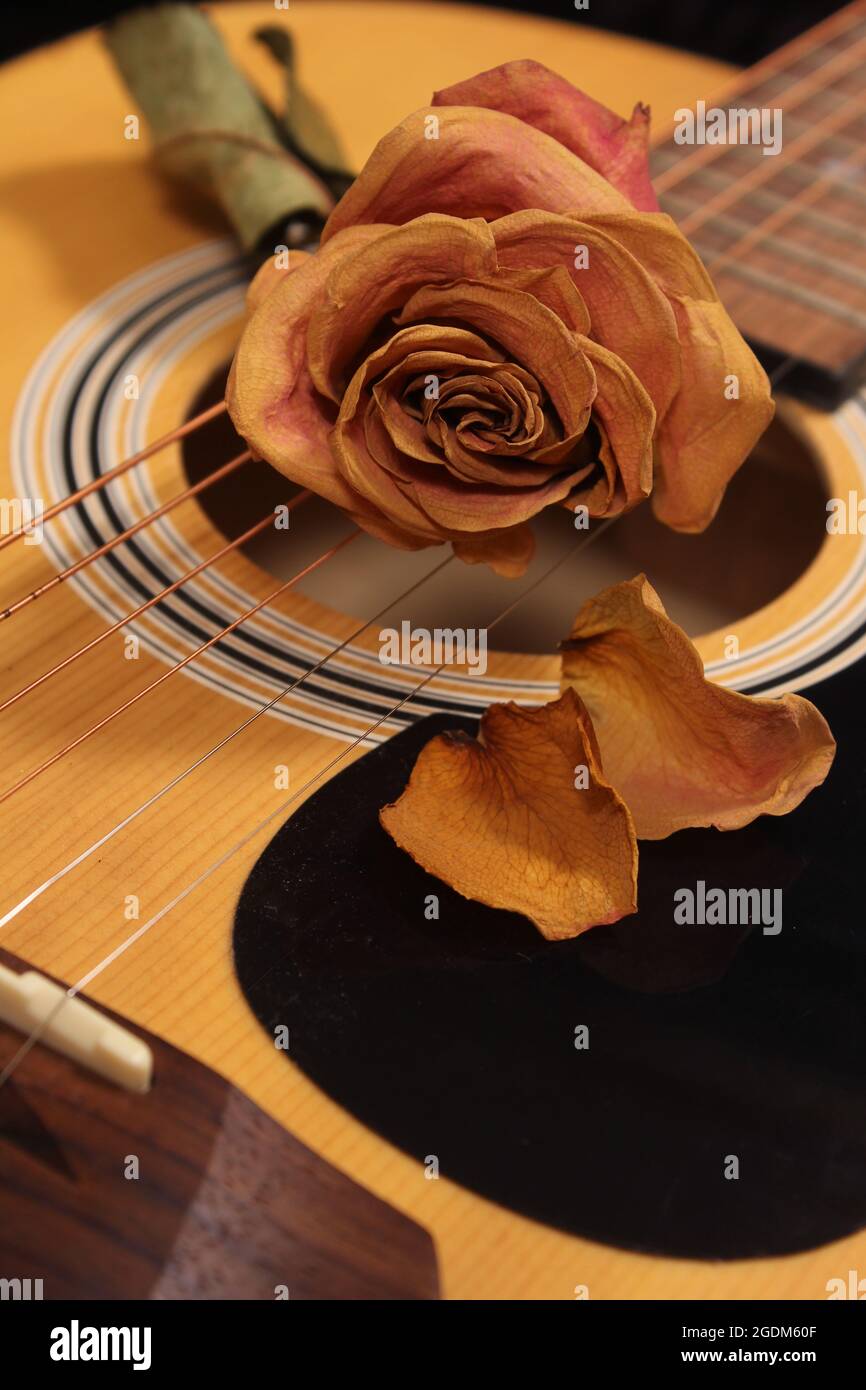 Classic Acoustic Guitar With Dried Roses Stock Photo - Alamy